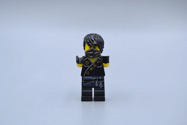 FIGURINE LEGO MINIFIGURE Ninjago Cole Tournament Robe Tournament of ...