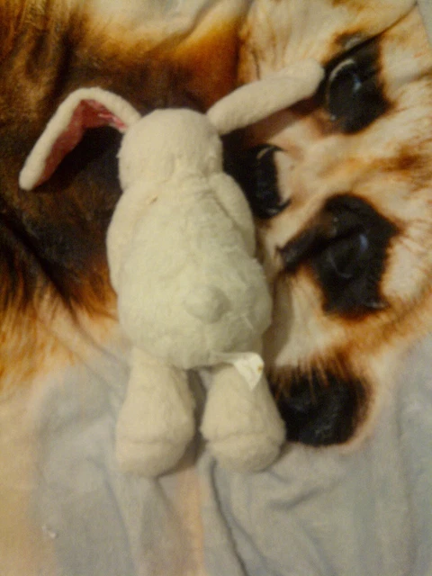 SPORTSWIFT &BILLIE& THE Bunny Rabbit With Flower Supersoft Comforter ...