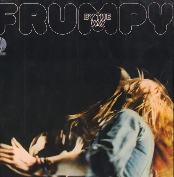 FRUMPY BY THE Way VERTIGO SWIRL Vertigo Vinyl LP EUR 144,52 - PicClick DE