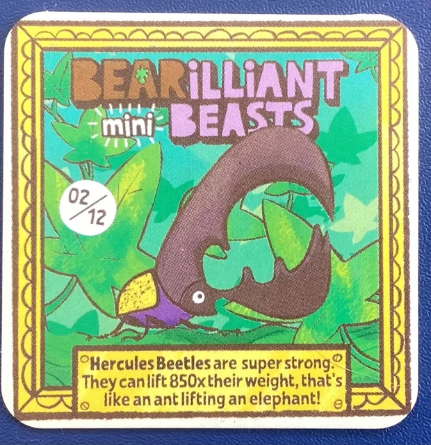 Yoyo Bear Cards Rare FOR SALE! - PicClick UK