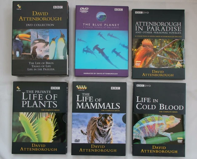 8 X BBC Sir David Attenborough Natural World / Nature Box Sets DVD Collections £49.99 - PicClick UK
