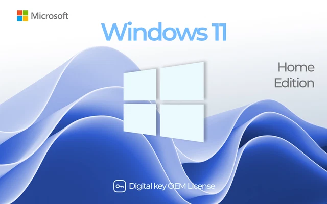 MICROSOFT WINDOWS 11 Home OEM License "DIGITAL KEY" EUR 11,99 - PicClick FR