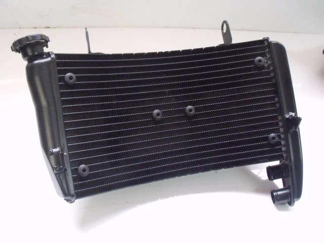 NOS ORIGINALE DUCATI 999R 749 Mk1 Radiatore Acqua/Ventilatori Doppia ...
