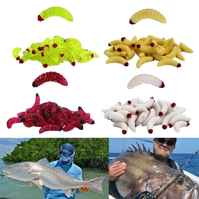 PROVEN TO ATTRACT Trout 50pcspack Maggot Soft Lure Baits for Trout ...