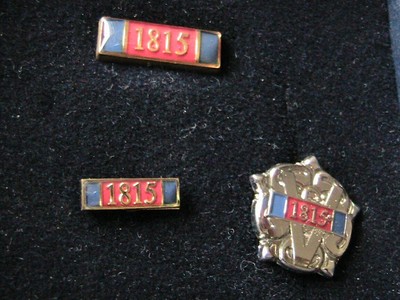 SET OF 3 The Battle Of Waterloo Badges 2 Pin 1 Stick British Armed ...