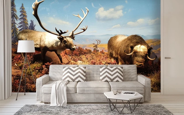 3D YAK ANTELOPE O365 Animal Wallpaper Wall Murals Removable Wallpaper ...
