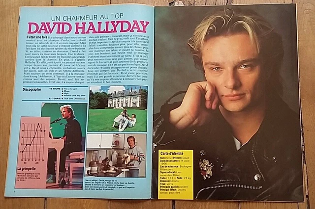 DAVID HALLYDAY - France article magazine clipping 80s 3 pages coupure ...