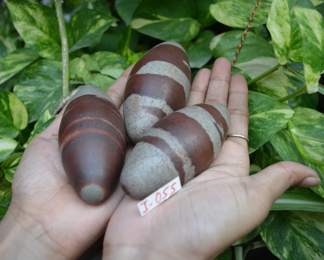4& SHIVA LINGAM Stone Narmada River India Special & Rare Lingam~I-055 £ ...