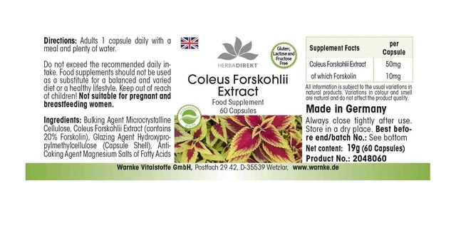 COLEUS FORSKOHLI EXTRACT 50mg with 10mg forskolin, 60 count (Pack of 1 ...