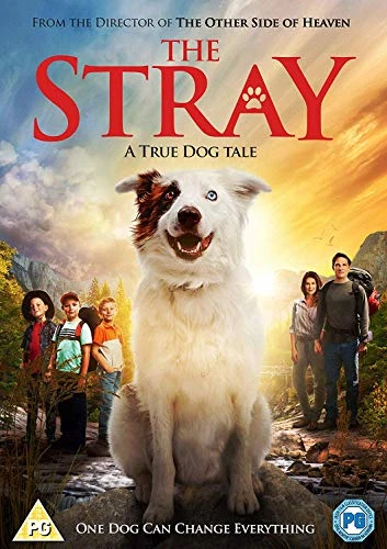 THE STRAY DVD Michael Cassidy 2019 Free UK P&P Value Guaranteed Fast ...
