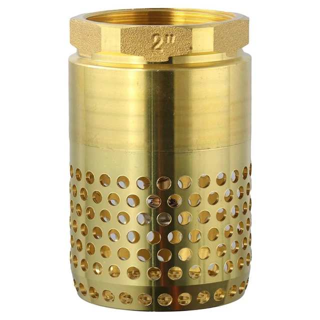 2 INCH NPT Mesh Check Valve Brass Backflow Valve One-way Valve Oil ...
