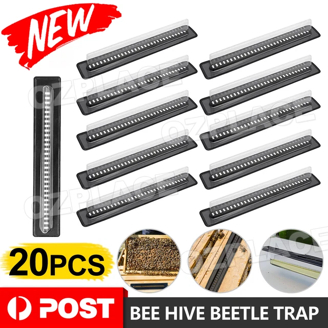 20X BEE HIVES Beetle Trap Mite Blaster Beehive Traps Beekeeping ...