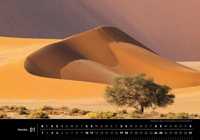 NAMIBIA PREMIUMKALENDER 2026 | Thomas Dreßler | Kalender | 14 S ...