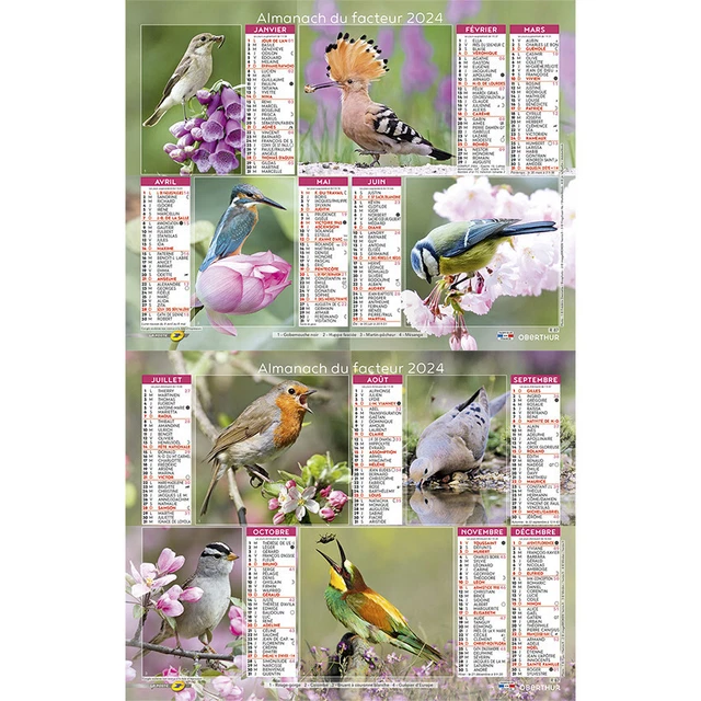 CALENDRIER DE LA Poste 2024, Almanach du facteur, oiseaux EUR 9,90 ...
