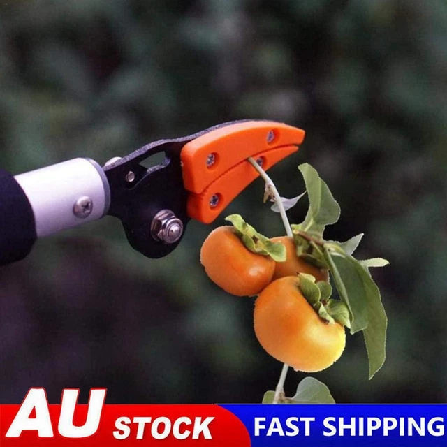 FRUIT PICKER GARDEN Tree Long Shear Pruning Gripper High Branch Fruits ...
