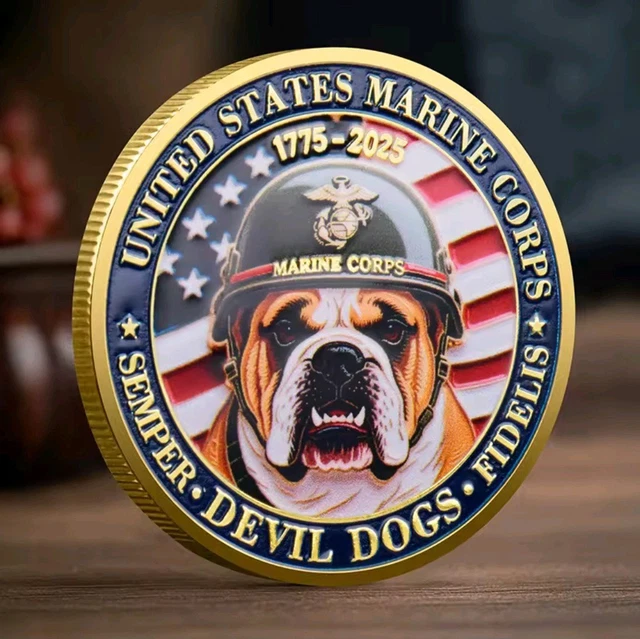 U.S MARINE CORPS Devil Dogs USMC 250th anniversary Challenge Coin £7.58 ...