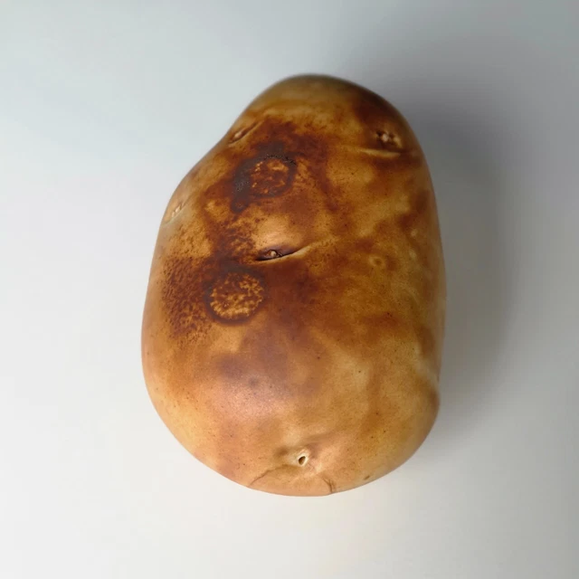 KPM BERLIN PORCELAIN "The Friedrich potato" flatterer bisque porcelain ...