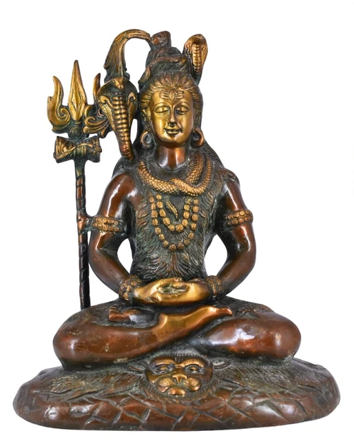 STATUE DE BALEINE blanche du Seigneur Shiva en laiton, Sculpture d'idole,... EUR 192,13 ...