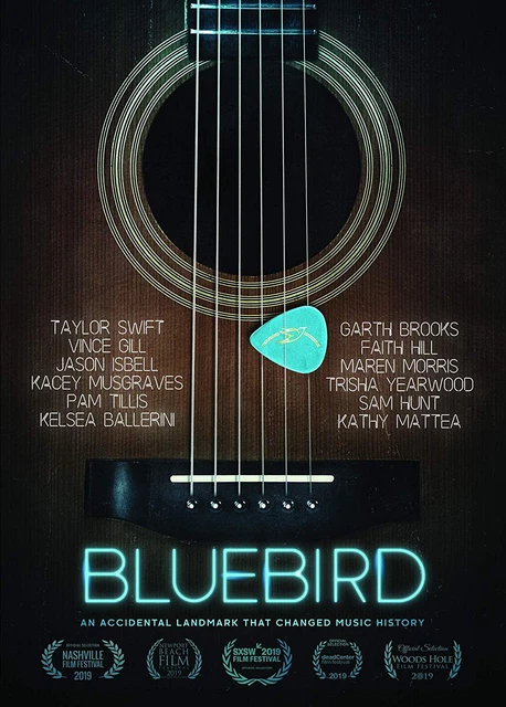 BLUEBIRD - AN Accidental Landmark That Changed History (Blu-ray) (US ...