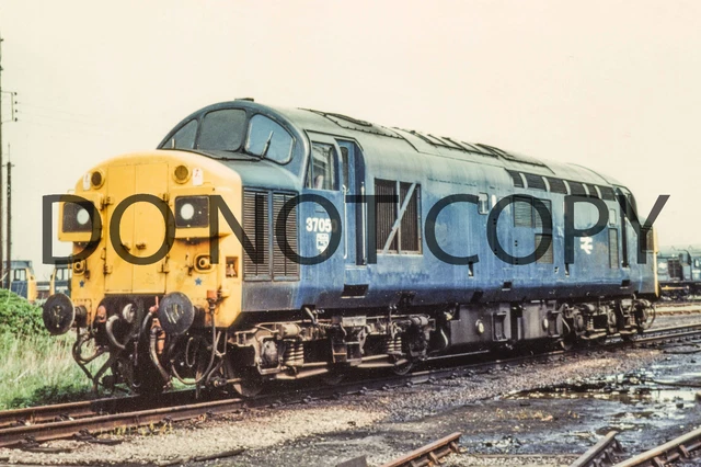 UK DIESEL TRAIN Railway Photograph Of Class 37 37050 Loco. Rm37-178 £1. ...