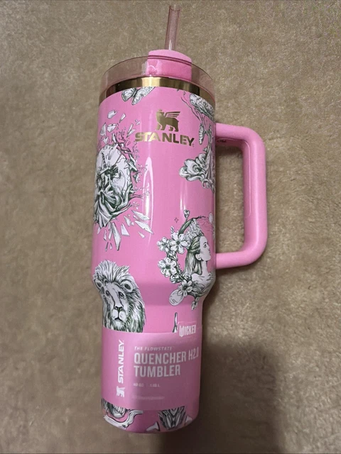 TARGET X STANLEY x Wicked For Good FlowState Quencher Tumbler 40oz ...