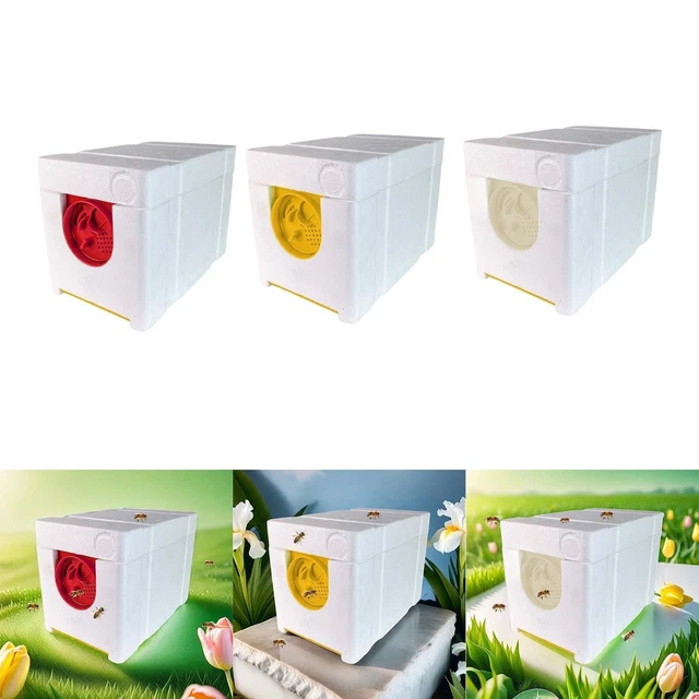 QUEEN BEE BREEDING Box Rearing Nucs Mini Mating NUC Box £19.77 ...