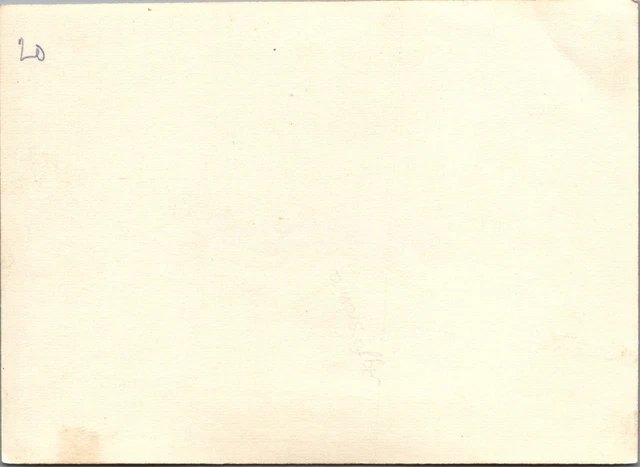 FOTO, III. GEBIRGS Artillerie Regt.79, Hitze und Staub (MJ-105)1030 EUR ...