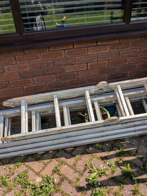 LADDERS. TRIPLE EXTENSION Ladders Two Sets. Smaller Extendable Ladder ...