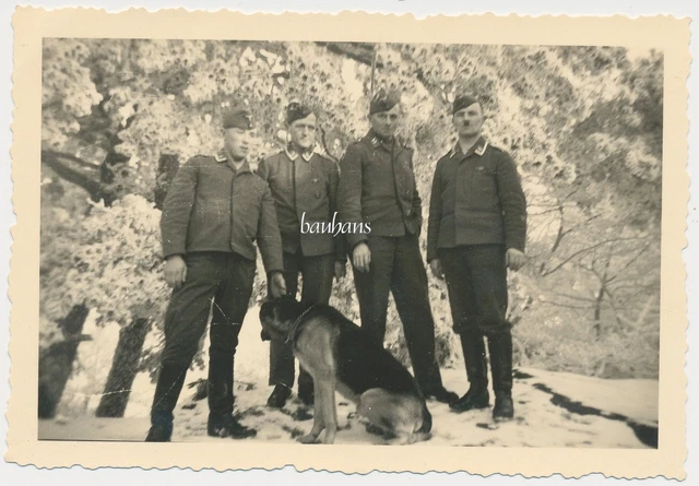 FOTO LUFTWAFFE-SOLDATEN MIT Schäferhund Dog 2.WK (W42) EUR 5,50 ...