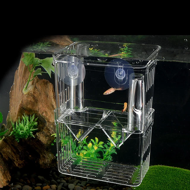AQUARIUM HATCHERY TRAP Fish Breeding Box Tank Fry Breeder Isolation ...