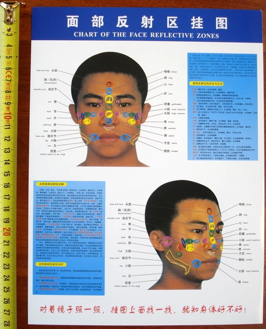 ACUPUNCTURE POSTER-FACE-ACUPOINTS CHART-ACUPUNCTURE-ACUPUNCTURE Poster ...
