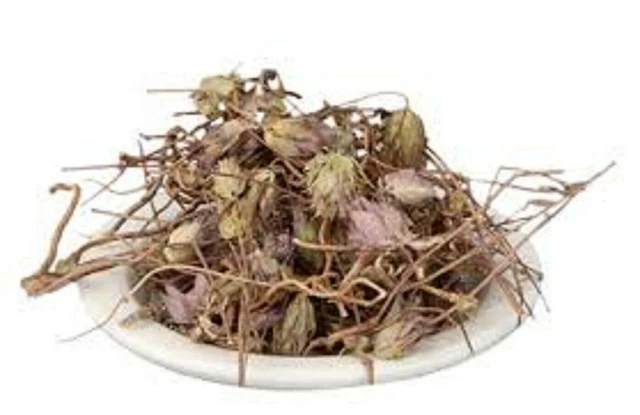DRIED HYSSOPUS OFFICINALIS Flower & Leaves Whole Jupha Issopo Hissopo ...
