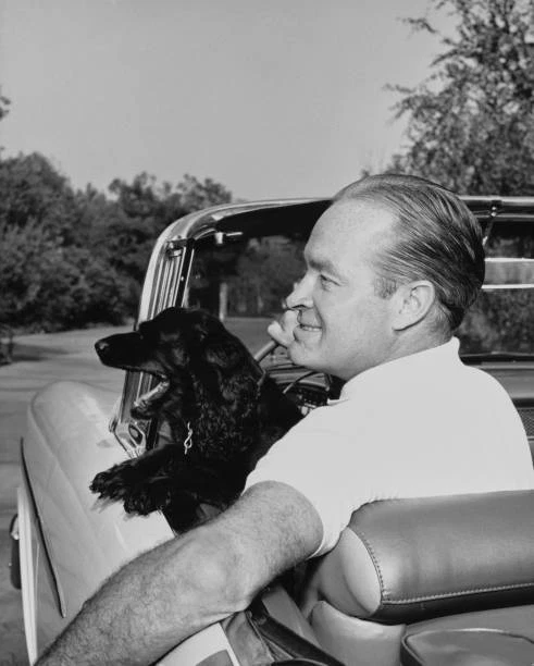 ACTOR AND COMEDIAN Bob Hope In A Convertible With A Dog Circa 1955 Old ...