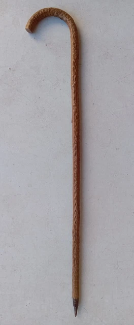 ANCIENNE CANNE EN bois d'AUBÉPINE rosacée cenelle houx arbuste - art ...