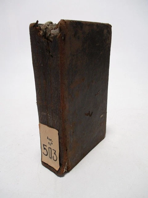 CULTUS DEO TER optimo maximo, virgineae ejusdem parenti, caelitibusque ...