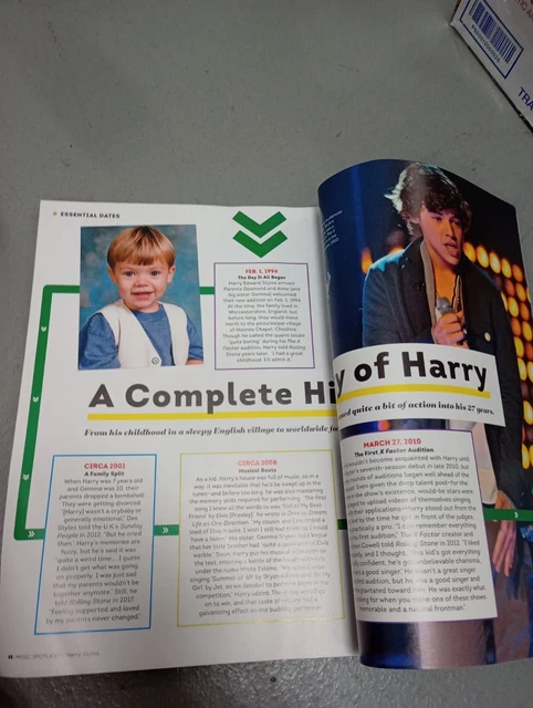 THE ULTIMATE GUIDE To Harry Styles Magazine £11.21 - PicClick UK