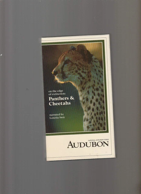 AUDUBON VIDEO - On the Edge of Extinction: Panthers and Cheetahs (VHS ...