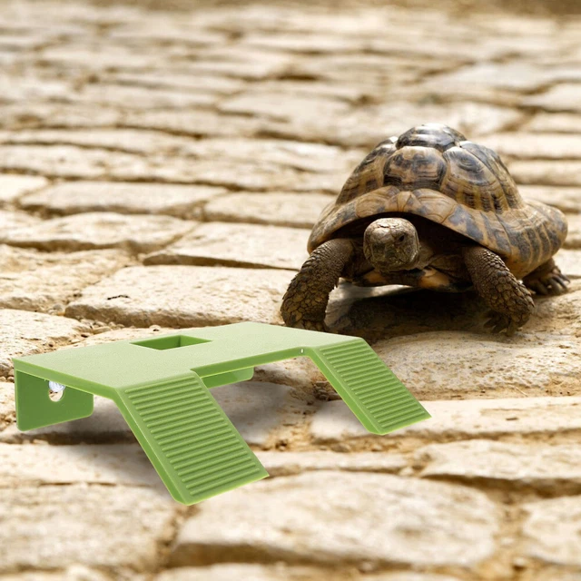 Tortoise Basking Platform Suction Cup Type Turtle Tank Floating