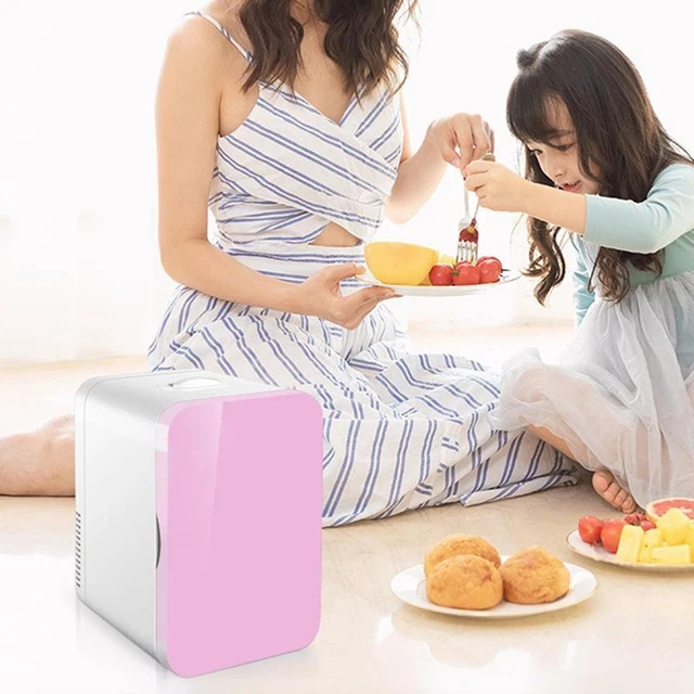 SMALL COOLER ICE Box Electric Freezer Mini Fridge Table Top 8L Car ...