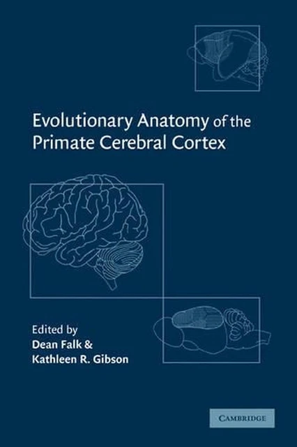 EVOLUTIONARY ANATOMY OF the Primate Cerebral Cortex by Dean Falk ...
