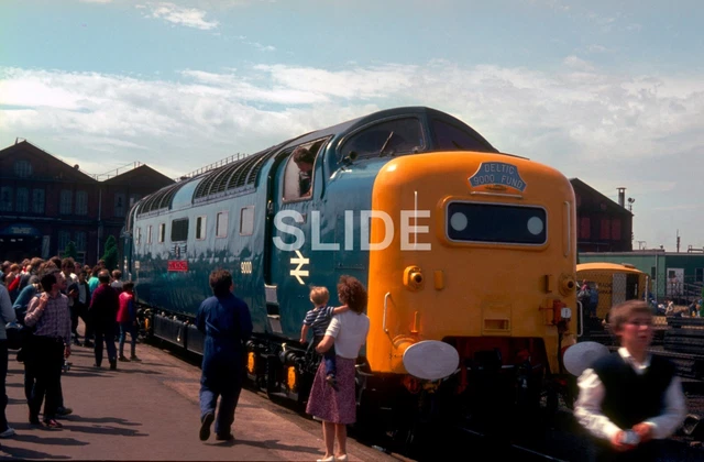 BRITISH RAILWAYS D9000 55 Deltic Diesel Locomotive 1984 Orig Colour ...