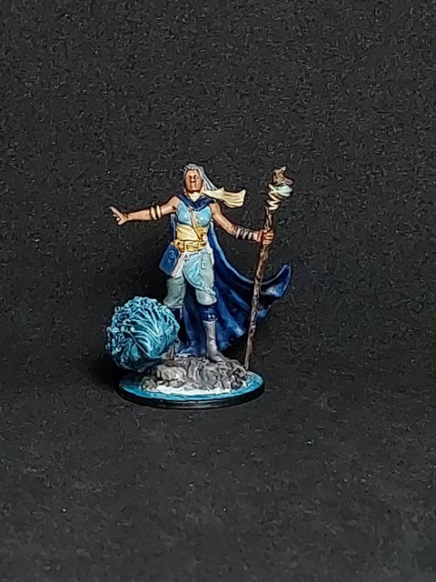 FEMALE DRUID MINIATURE Wizard Painted DnD Mini Dungeons and Dragons ...