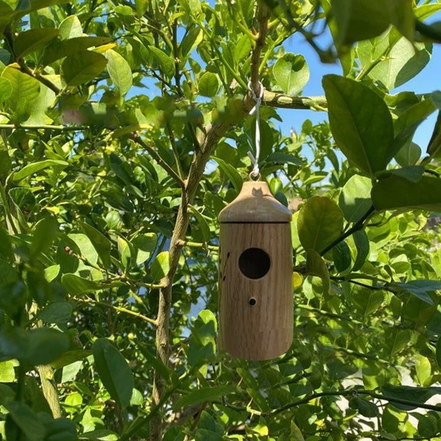CRÉER UN ENVIRONNEMENT serein avec une maison de colibri en bois améliorer la EUR 11,34 ...