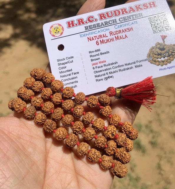 LAB CERTIFIED 6 Mukhi RUDRAKSHA Rudraksh Mala ROSARY 108+1 Bead Prayer ...