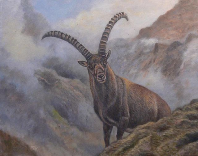 JAGDGEMÄLDE &STEINBOCK& - Tier-und Jagdmaler - Thomas Bold - EUR 120,00 - PicClick DE