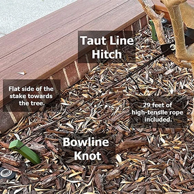 KIT PROFESSIONNEL DE pieu d'arbre en acier pour temps imprévisible ...