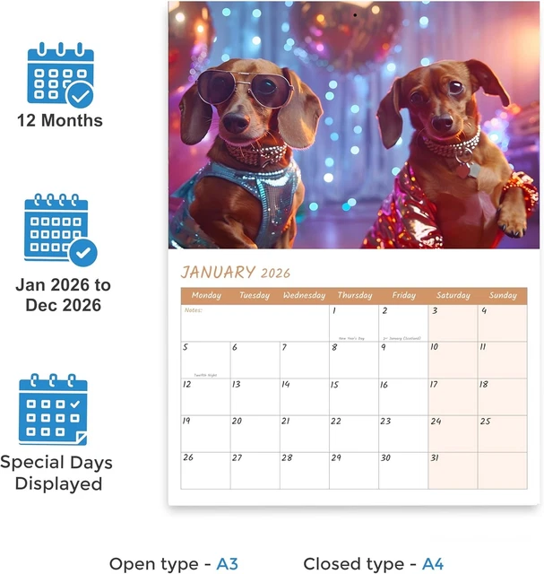 FUN DACHSHUND CALENDAR 2026 UK 12 Month to View A4 Wall 2026 UK... £11. ...