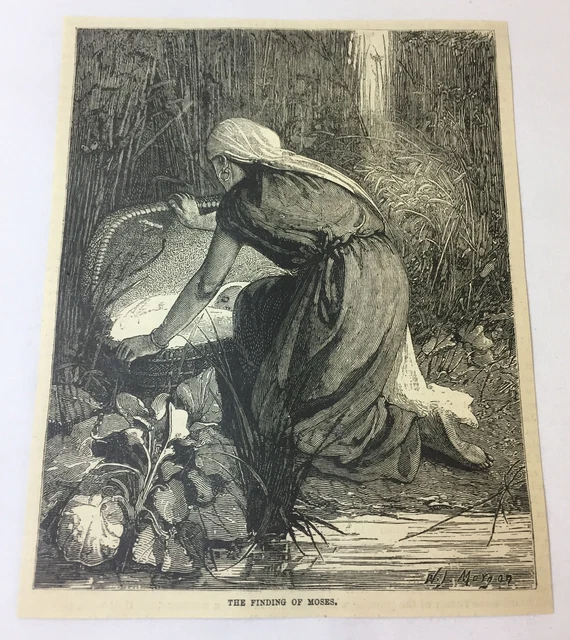 GRAVURE DE MAGAZINE De 1880 ~ La Découverte De Moïse EUR 10,06 ...