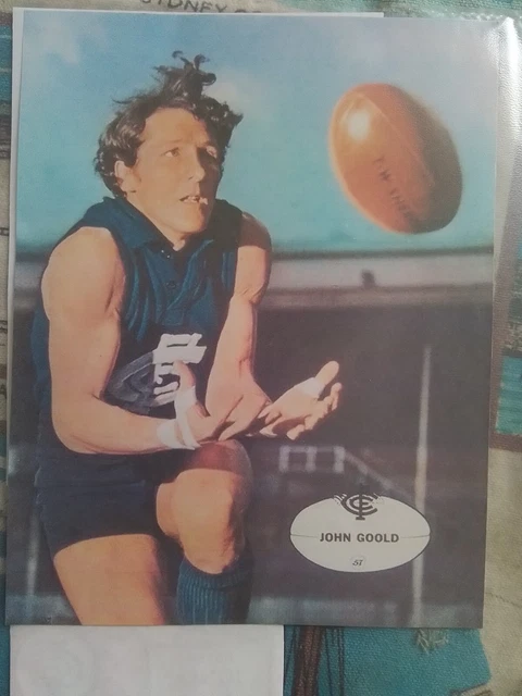 JOHN GOOLD ,CARLTON 1960 s Heinz Glossy Colour Pic In Good Condition ...