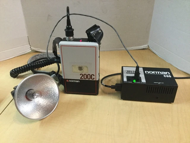 NORMAN 200C PORTABLE flash lighting Battery Pack, Delta V Charger ...
